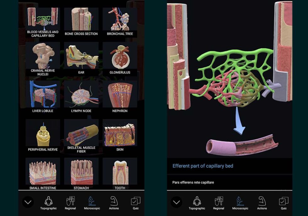 3D Organon for Students | 3D ORGANON