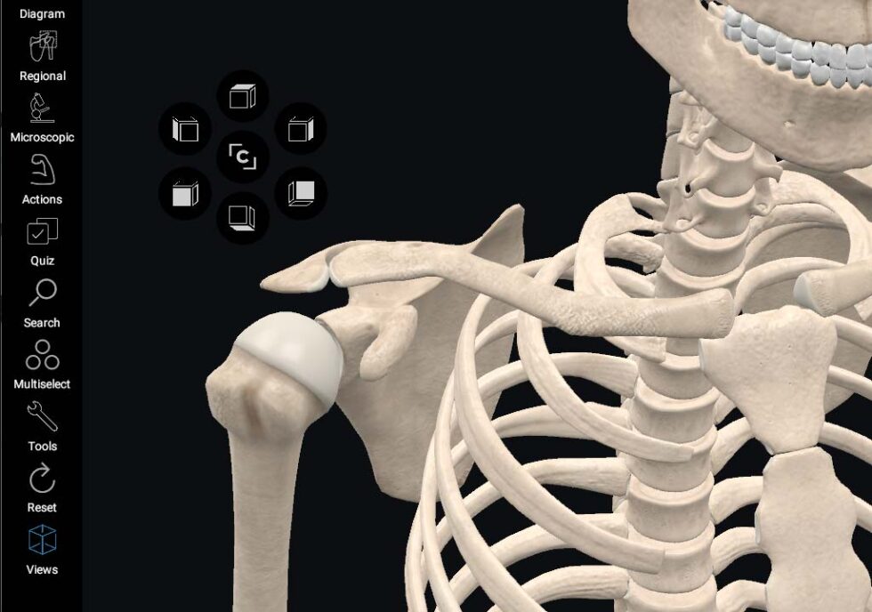 3D Organon for Students | 3D ORGANON