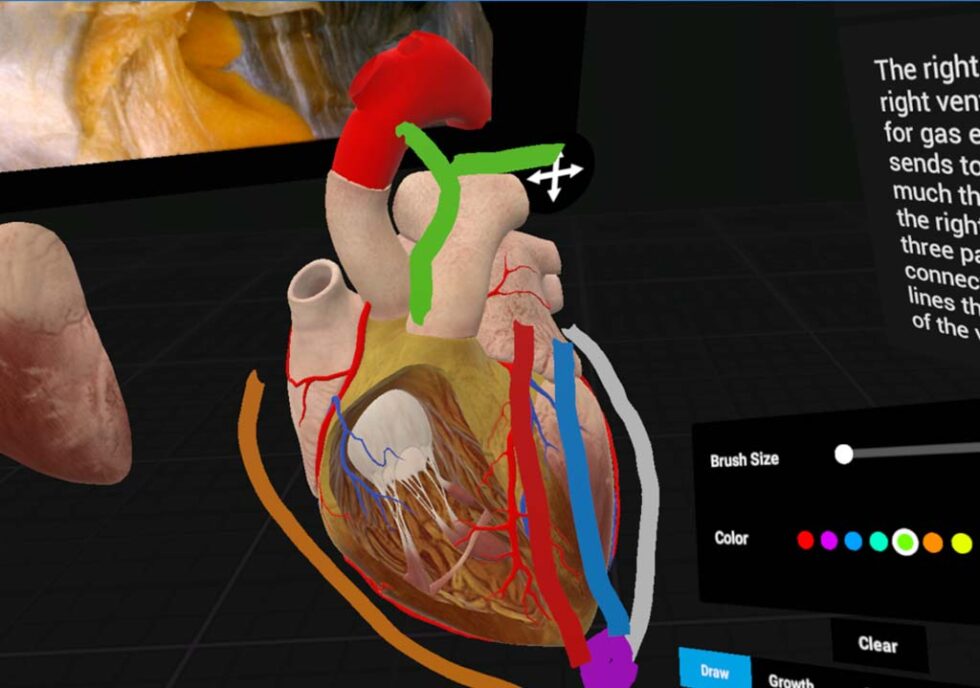 3D Organon for Educators | 3D ORGANON