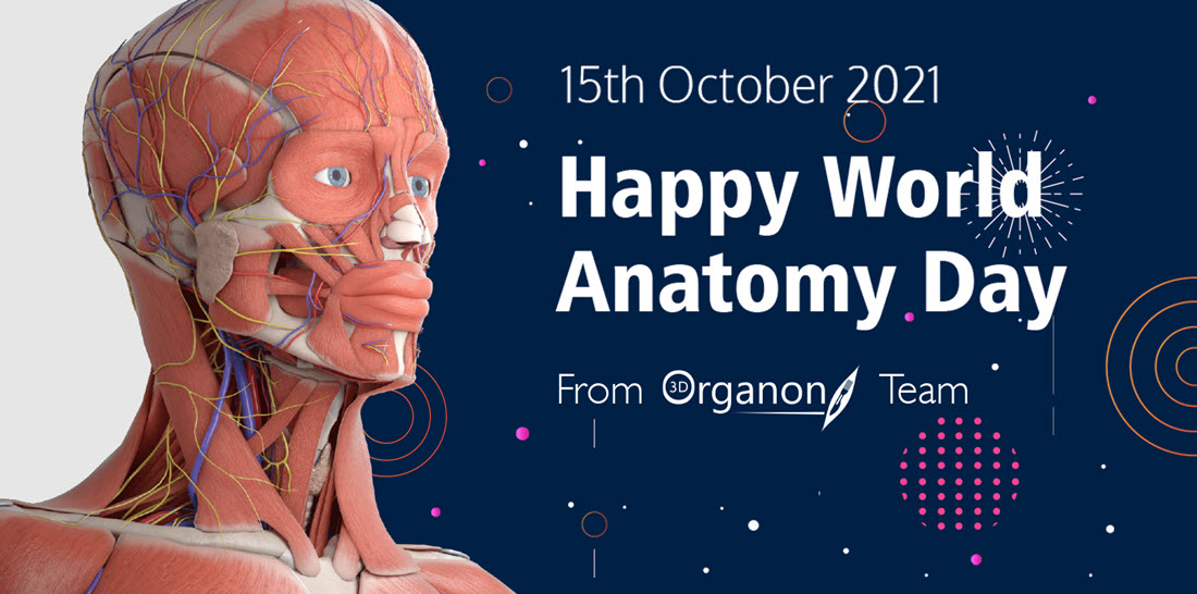 HAPPY WORLD ANATOMY DAY! | 3D ORGANON