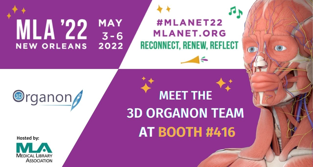 3D Organon at MLA'22 | 3D ORGANON
