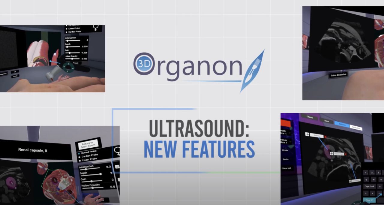 Ultrasound VR Educational Simulator