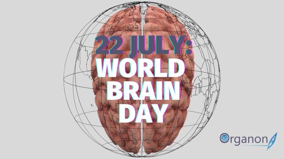 22 July: World Brain Day | 3D ORGANON