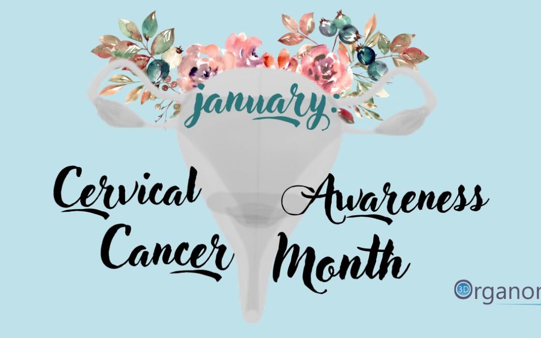 January: Cervical Cancer Month