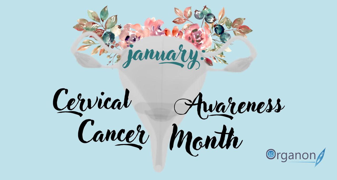 January: Cervical Cancer Month