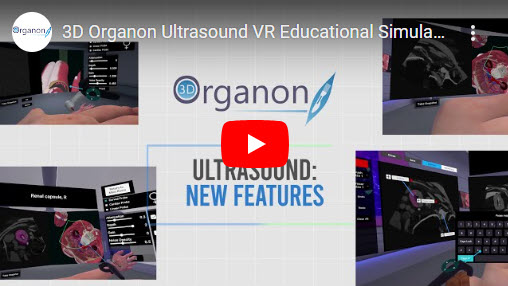 The Leading XR Medical Anatomy Platform