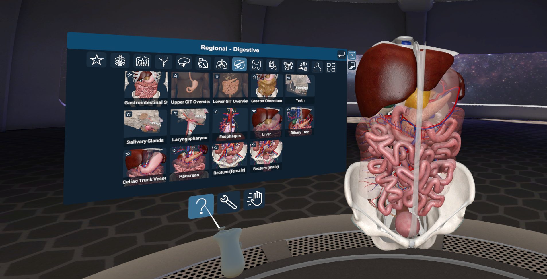Out now: The New 3D Organon XR | 3D ORGANON