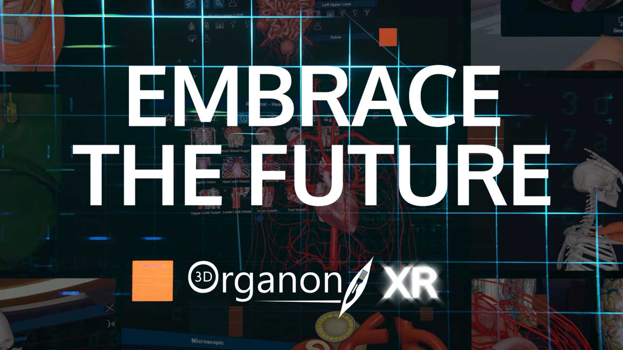 Introducing 3D Organon XR