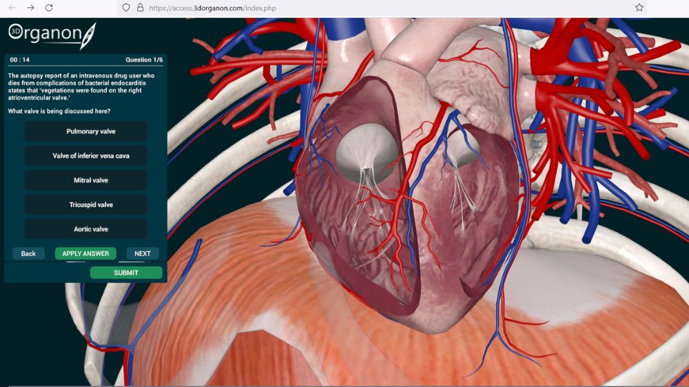3D Organon Solutions | 3D ORGANON