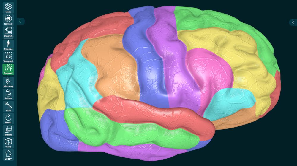 Discover the Power of 3D Organon's "Organ Mapping" Feature: Celebrating ...