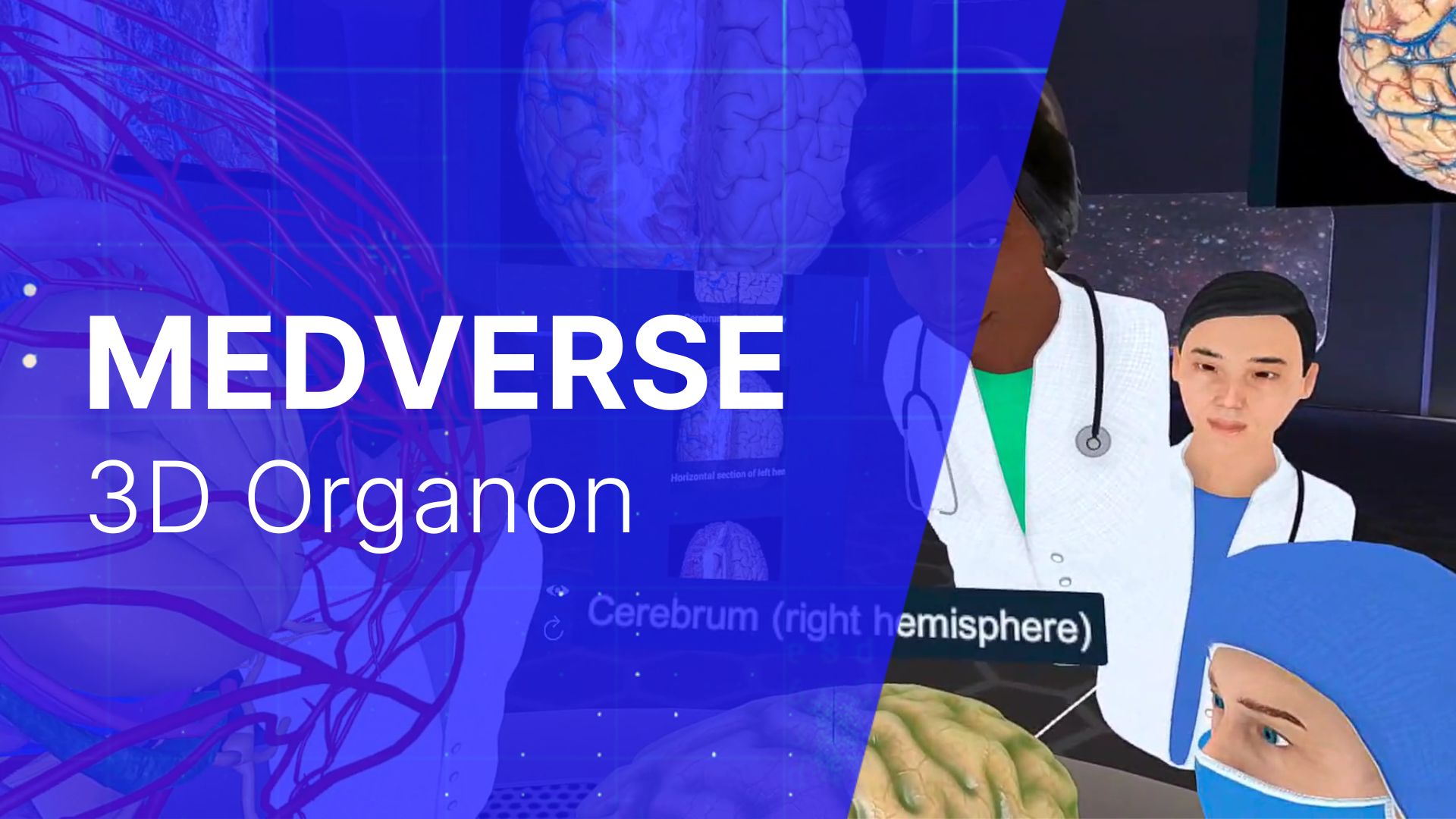 3D Organon Medverse