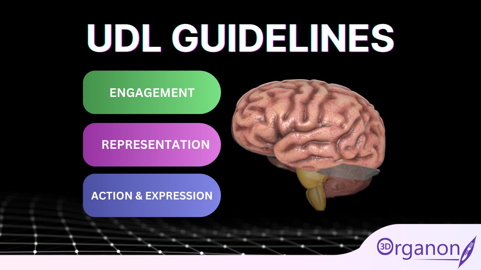 3D Organon UDL Guidelines