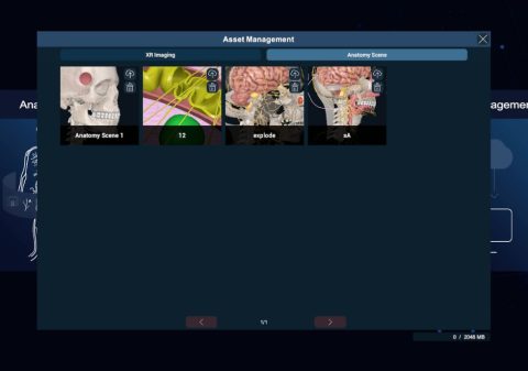 Asset Management | 3D ORGANON